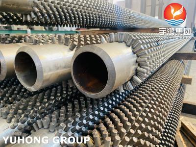 Cina TP316L ASTM A312 Tubo in acciaio inossidabile per forni e raffinerie di petrolio in vendita