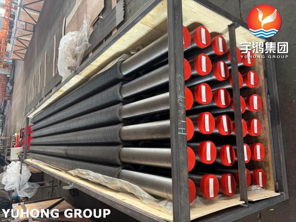 Quality 4-17mm Fin Height Astm A335 P11 Serrated Finned Pipe For Furnace Applications for sale