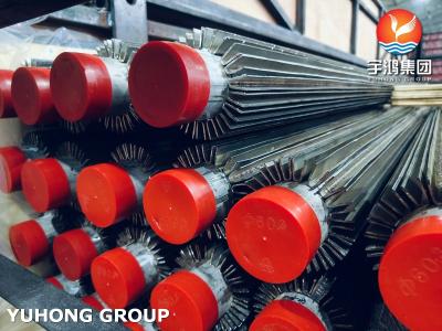 Cina Caldaia a forno a tubi a pinne longitudinali ASTM A213 TP316L in vendita
