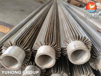 Cina A213 TP316L Produttori di tubi con pinne longitudinali per scambiatori di calore e caldaie in vendita
