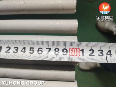 Cina Acciaio inossidabile ASTM A213 TP304H scambiatore di calore in vendita