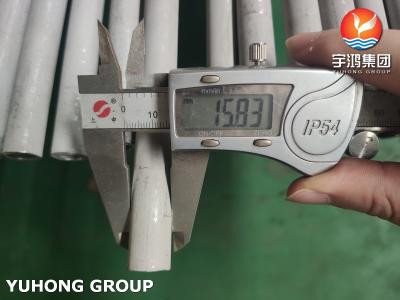 Cina Acciaio inossidabile ASTM A213 TP304H scambiatore di calore in vendita
