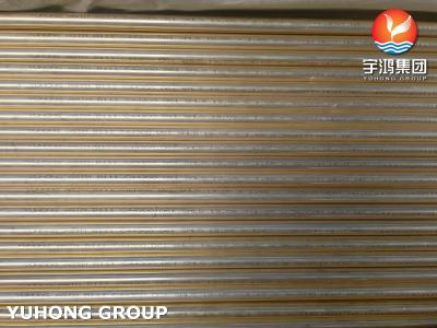 Cina ASTM B111 C44300 O61 Tubo per scambiatori di calore in acciaio di lega di rame per condensatori in vendita