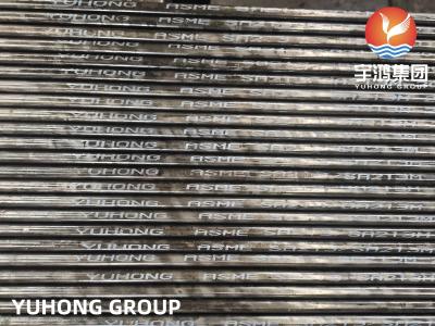 Cina T11 ASTM A213 Tubi di caldaia senza saldatura in acciaio legato per servizi ad alta temperatura in vendita