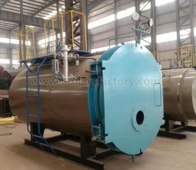 China CWNS Single Drum Hot Water Boiler for sale