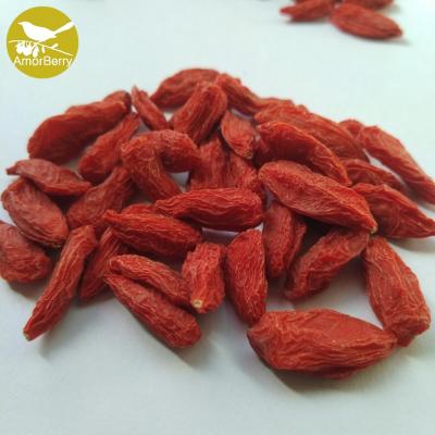 China Hot Sale Wolfberry Medlar High Quality Bulk Ningxia Chinese Organic Wolfberry/Goji berry/red medlar for sale