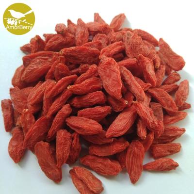 China New Crop Organic Ningxia Wolfberry Dried Goji Berries From Ningxia Manufacturer for sale