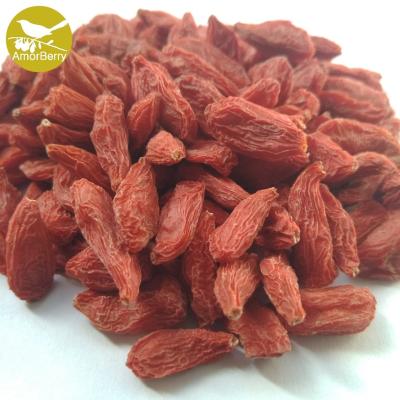 China Factory supply different types no addition organic dried goji berries High Quality Dired Natural for sale