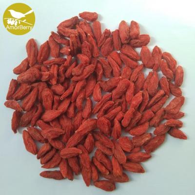 China New arrival factory supply price sun dried wholesale Chinese medlar for sale