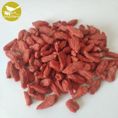 China China Professional Wolfberry supplier dried wolfberry goji berry factory for sale