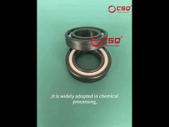 Gli utensili sinterizzati senza pressione al nitrato di silicio sono ideali per le pompe acide e alcaline, che trattano materiali corrosivi.