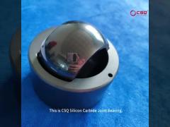 SSIC Ceramic Joint Bearing used for pumps