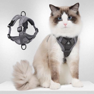 China Small Cat Harness And Leash Standard Lightweight With Vest Style Design for sale