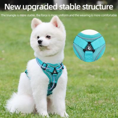 China Small Cat Harness And Leash Standard Lightweight With Vest Style Design for sale