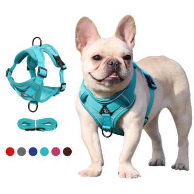 China Small Cat Harness And Leash Standard Lightweight With Vest Style Design for sale