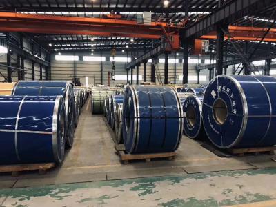 Cina Resistenza all'abrasione acida della lamiera sottile 304 dello SGS 120mm alta in vendita