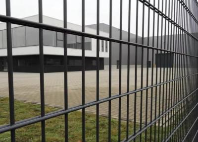 China Modern Design PVC Iron Double Loop Circle Wire Mesh Fence 2m Yard Gate for sale