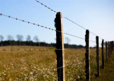 China Durable Military Pvc Coated Barbed Wire , Barbed Fencing Wire Bulk Weight OEM for sale