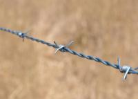 China Hot Dip Galvanized Double Twist Barbed Wire 14 Gauge For Private Area for sale