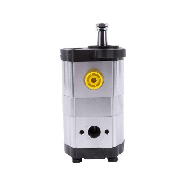Quality OEM Hydraulic Pump 3661228M91 0510365315 for Ferguson Tractors 2225 2230 2235 for sale