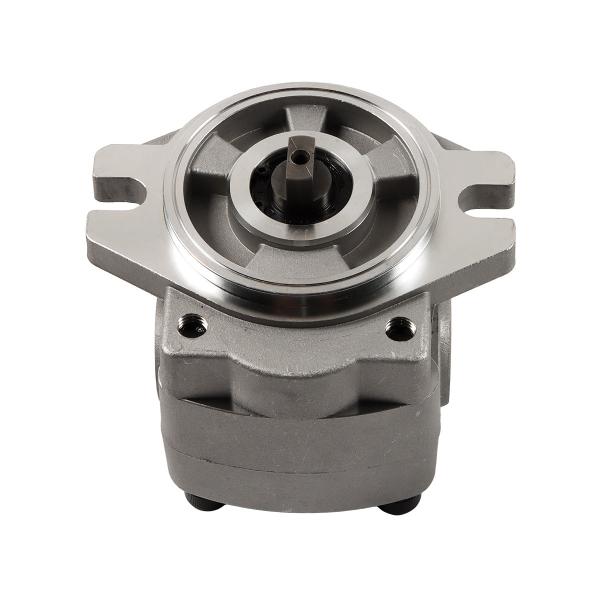 Quality OEM Pilot Gear Pump 126-2016 1262016 for CAT 320D E320B E320C Excavator
 for sale