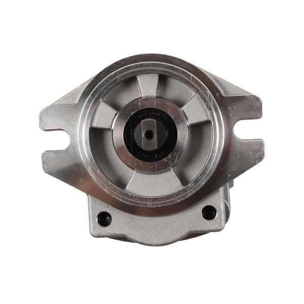 Quality OEM Pilot Gear Pump 126-2016 1262016 for CAT 320D E320B E320C Excavator for sale