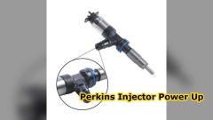 Perkins Engine Fuel Injector 295050-0421