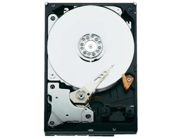 Cina 512E disco rigido 4TB, 6Gb/s 3,5
