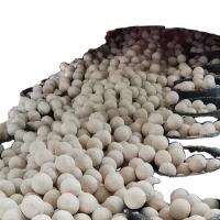 China Durable Ceramic Decor for Fire Pits Refractoriness Degree 1770° Refractoriness 2000° for sale
