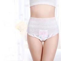 Quality OEM Elastic Waistband Disposable Period Underwear Panty Pads For Periods manufacturer