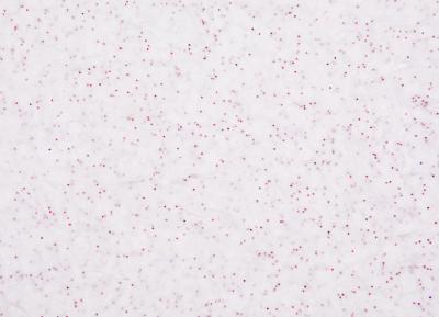 China H203 SILK PLASTER liquid wallpaper silk coating be used on room , shop popular building material for sale