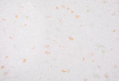 China SILK PLASTER liquid wallpaper silk coating good quality material factory in china H215 for sale