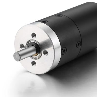 China 9 Torque Riorand 350W 6-60V PWM DC Brushless Electric Motor Smooth for Optimal Performance for sale