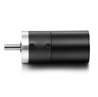 China 9 Torque Riorand 350W 6-60V PWM DC Brushless Electric Motor Smooth for Optimal Performance for sale