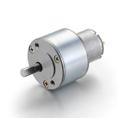 Cina Albero tipo D Albero ad alta coppia a basso RPM 6v 12v Motori a marcia continua a spazzola con regolazione della velocità in vendita