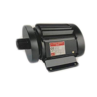 Cina 220V/110V 180-4800RPM 3.0HP Treadmill Motore CA e velocità sincrona 180-4800RPM in vendita