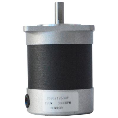 Cina IE 2 Protezione 57 mm 3000 giri al minuto Motore a corrente continua senza spazzole 69w con flange rotonda in vendita