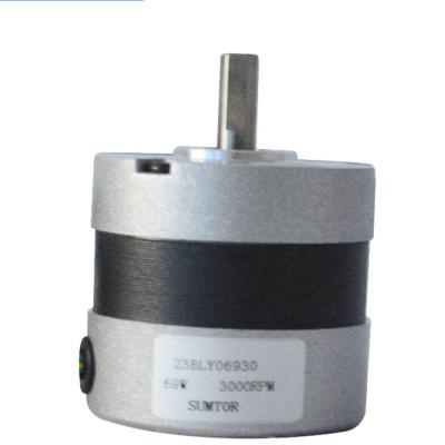Cina IE 2 Protezione 57 mm 3000 giri al minuto Motore a corrente continua senza spazzole 69w con flange rotonda in vendita