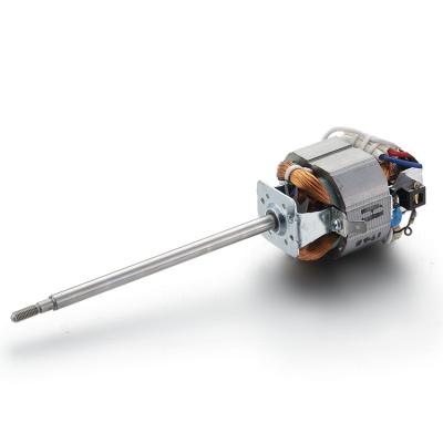 Cina Motore elettrico ad alta coppia 110v 220v 100w 200w 300w AC per macchina da tapis roulant 10000 giri al minuto in vendita
