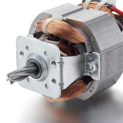 Cina Velocità 54 mm diametro del motore Totalmente chiuso motore universale AC per tapis roulant 110v 220v in vendita
