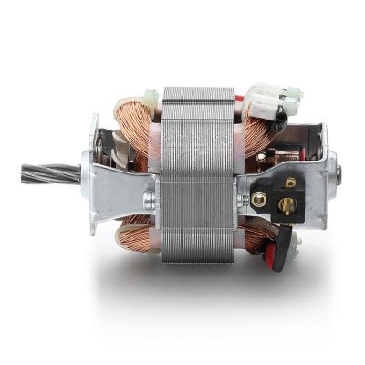 Cina Velocità 54 mm diametro del motore Totalmente chiuso motore universale AC per tapis roulant 110v 220v in vendita