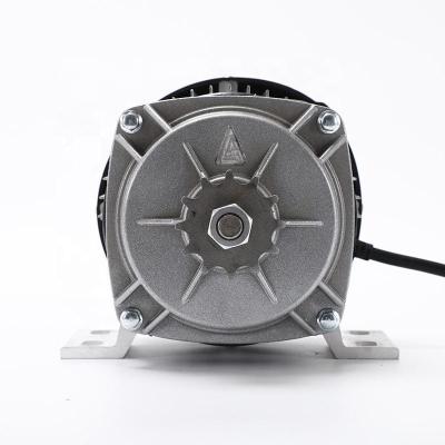 China Motor de ímã permanente de 24 V 500 W para triciclos motorizados cadeira de rodas de scooter 10 mm eixo à venda