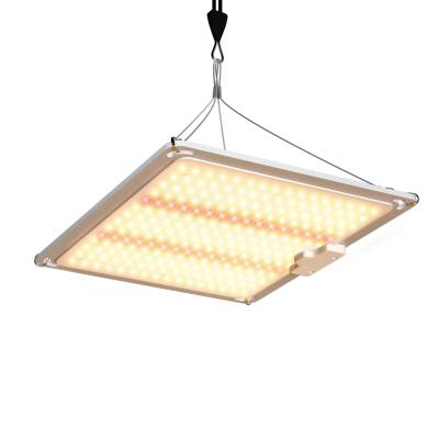 China Led Growing Light with Red Blue white Lights for Indoor Plants Vegetables Flower Growth Lamps Te koop