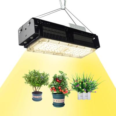 Cina 50w Full Spectrum LED Plant Grow Light 4000k For Indoor Plants in vendita