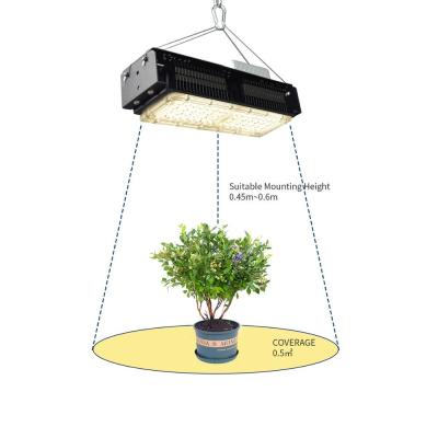 Cina 50w Full Spectrum LED Plant Grow Light 4000k For Indoor Plants in vendita