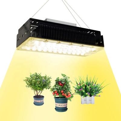 China Seed Starting Zshonorligh Fins Board Heater Aluminum Cob 100w Hydroponic Grow Lights Led Grow Light Te koop