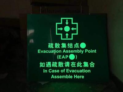 Cina 1.24x45.7m Eco solvente Stampabile Glow In The Dark Nastro in vinile Rotoli Pellicola vinilica fotoluminescente 4h per segnale di uscita di sicurezza in vendita