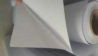 China Customized Removable Vinyl Sticker Roll For Rectangle / Circle / Oval Shapes for sale