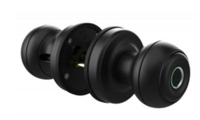 China High Security Anti Theft Smart Door Lock Wifi Biometric Intelligent Electronic Fingerprint en venta