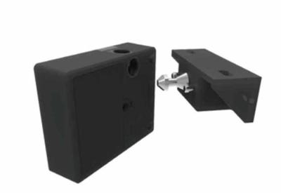 China Baby Safety Parcel Keyless Electric Locker Lock For Gym Vending Drawer Digital Fingerprint Electronic Cabinet Lock With Keys for sale